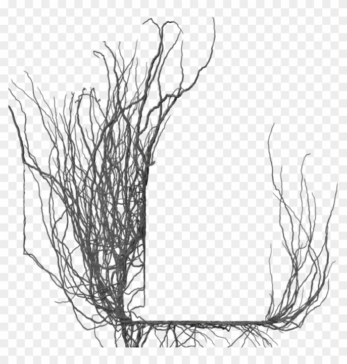 Free: Branch Frame 02 By Brokenwing3dstock - Branch Frame Png - nohat.cc