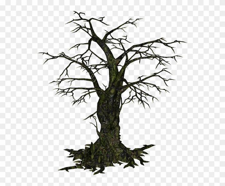 Free: Creepy Tree - Creepy Tree Png - nohat.cc