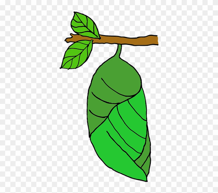 Free: Pupa, Butterfly, Stage, Nature - Butterfly Eggs On A Leaf ...