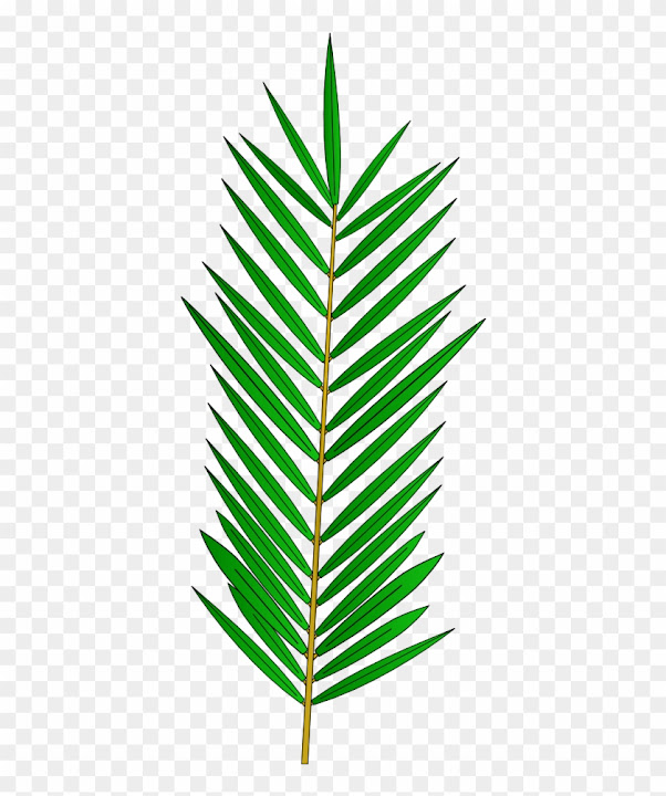 Free: Palm Tree Leaf Template - Palm Tree Leaf Template - nohat.cc