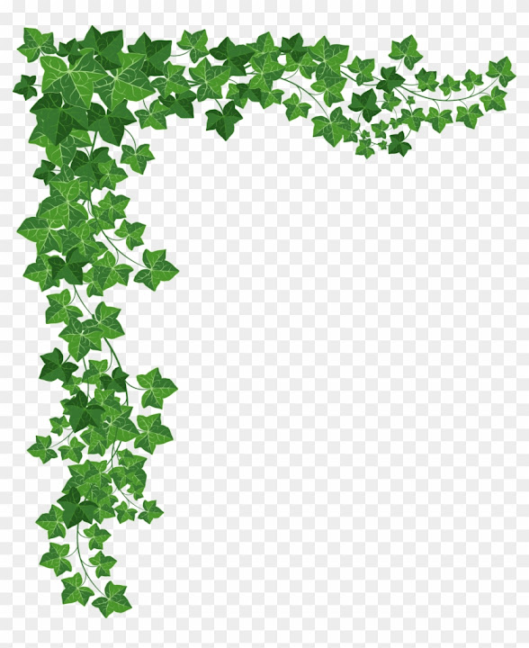 Free: Vines Vector - nohat.cc