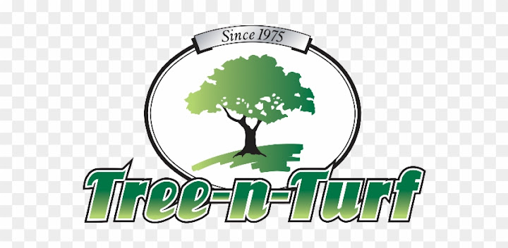 Free: Green Day Clipart Lawn Care - Tree-n-turf Services - nohat.cc