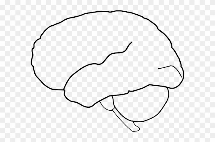 Free: Brain Template Brain Outline Clip Art At Clker Vector - Outline Of The Human Brain - nohat.cc
