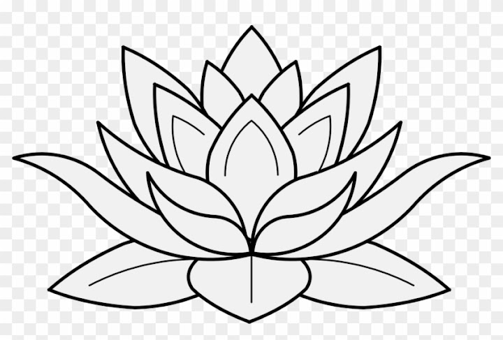 Free: Lotus - Lotus Flower Drawing Png - nohat.cc